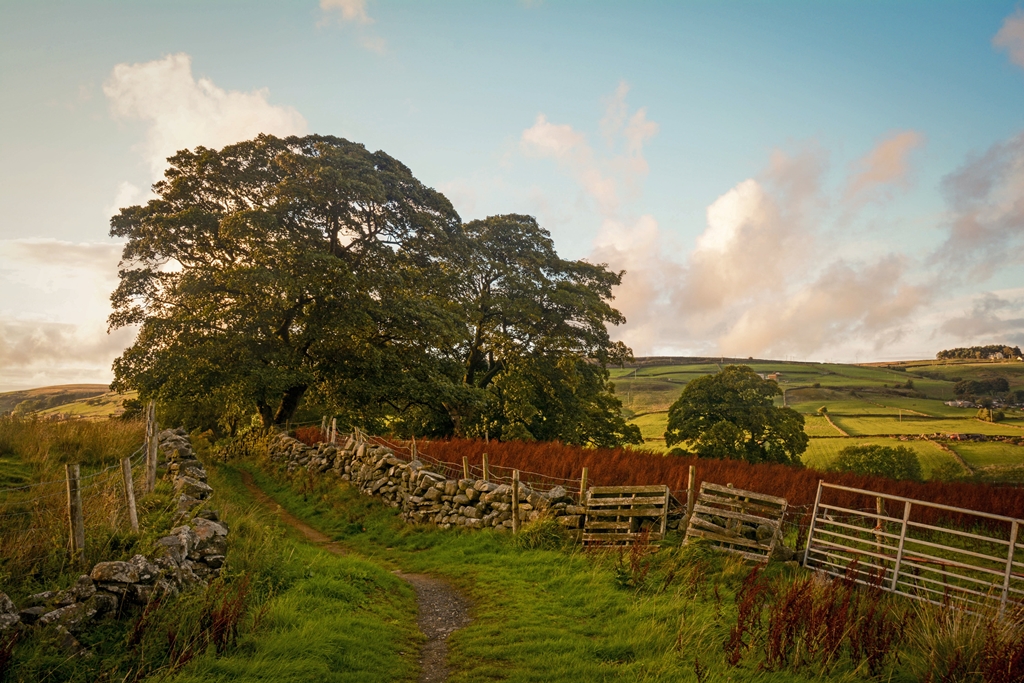 A September Walk From Haworth to Ponden, Brontë Country