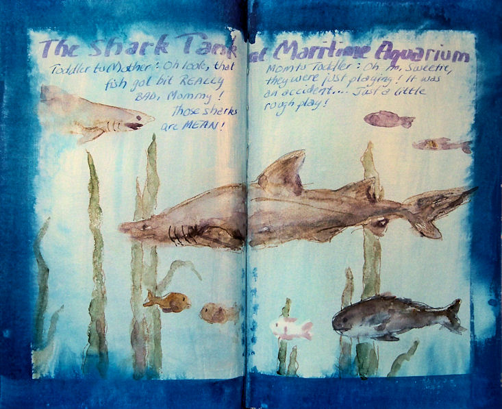 Hudson Valley Sketches - : Shark Tank at the Maritime Aquarium