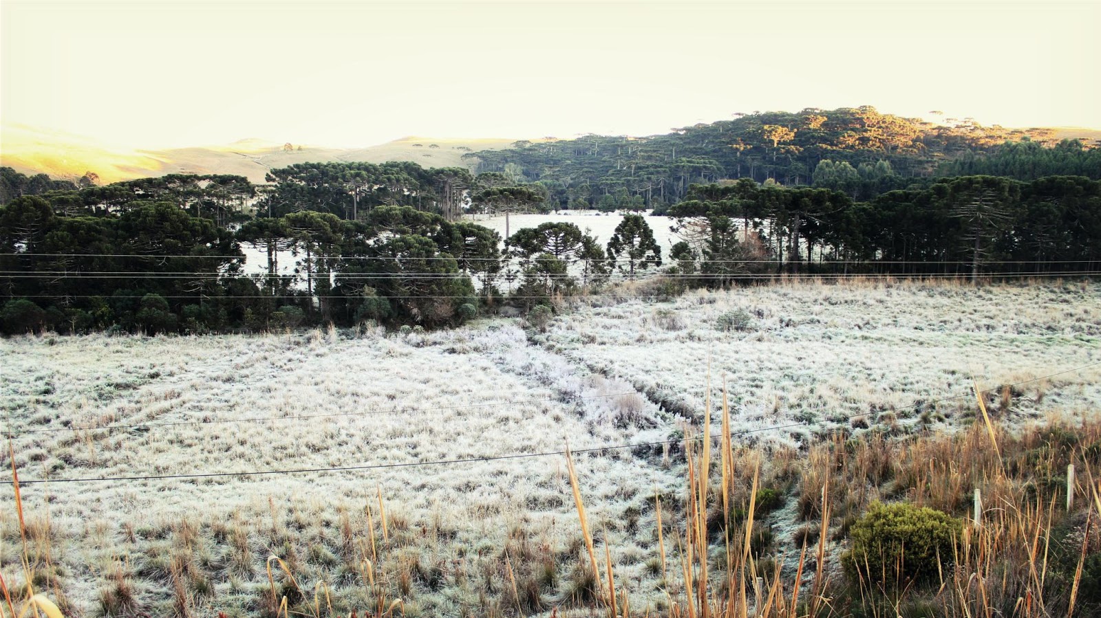 Meteorologia Sinótica: Geada
