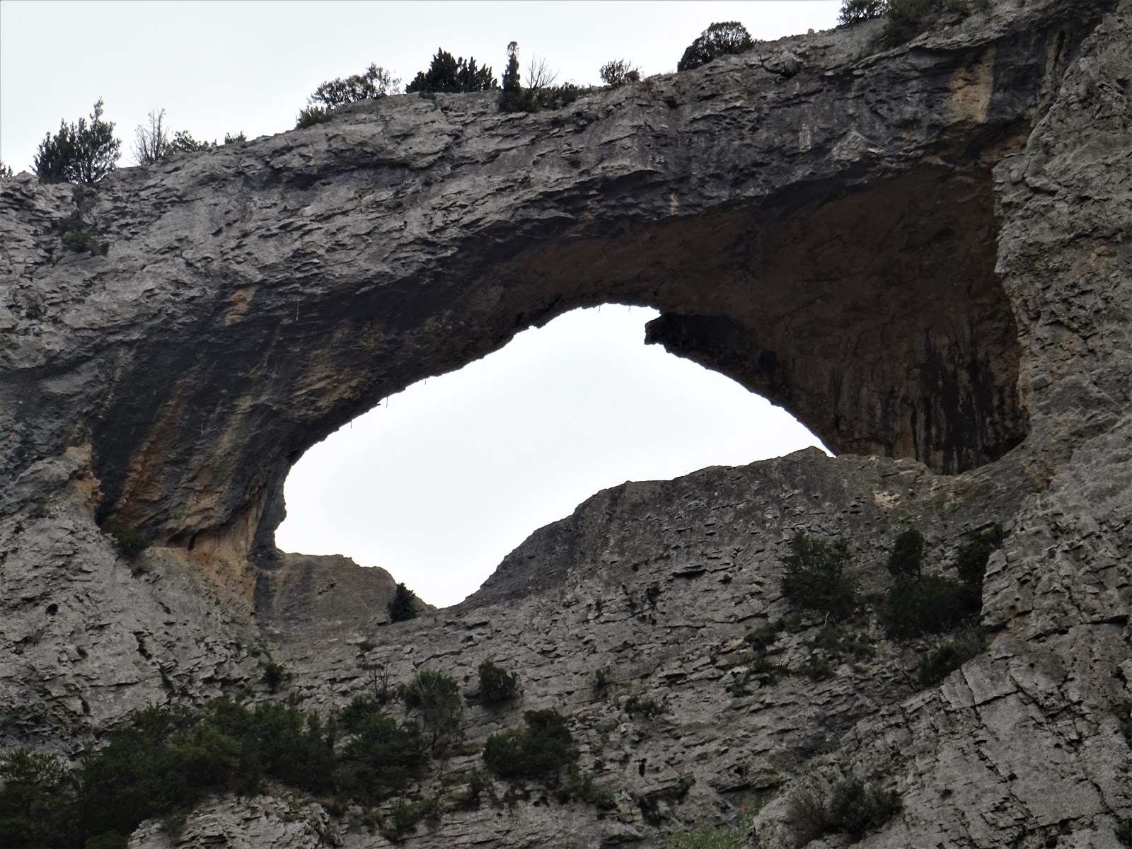 ARTÍCULOS, RESEÑAS LITERARIAS Y EXCURSIONES Carlos Bravo Suárez: VUELTA ...