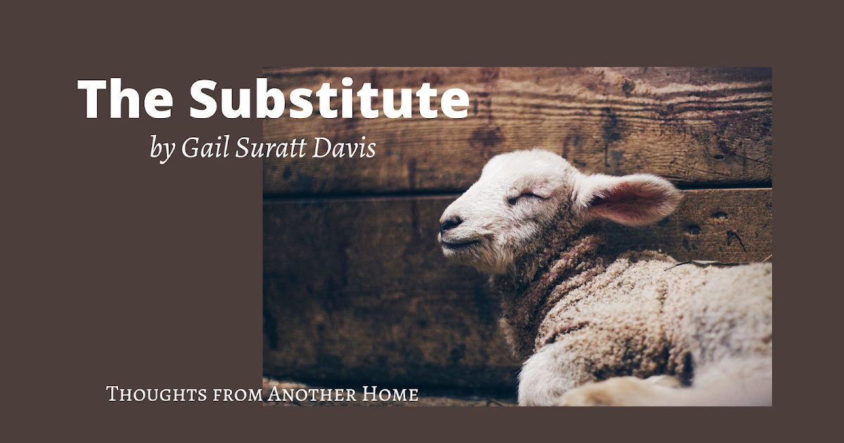 Thoughts from Another Home ©: The Substitute