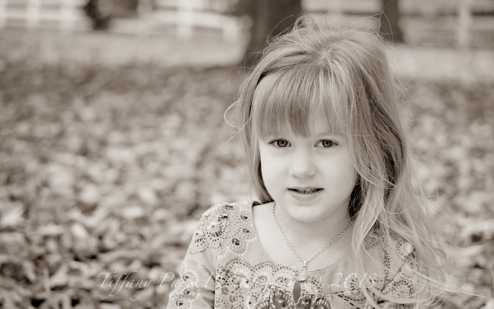 Tiffany Park Photography: The Dippels and Some Dimples