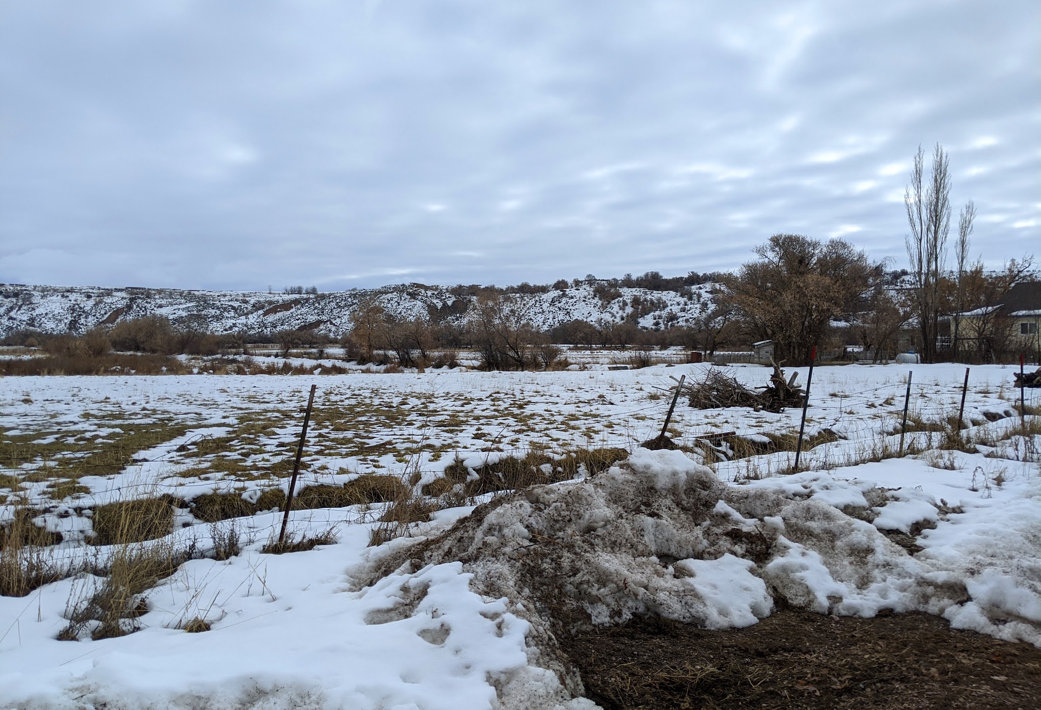 Rachel's SLC History: 157th Anniversary of the Bear River Massacre of 1863