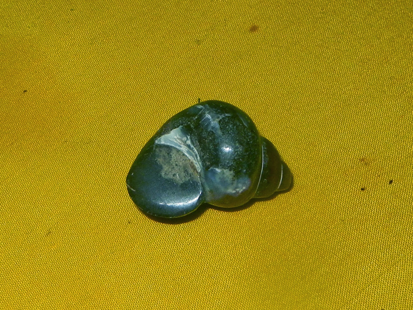 GELIGA KINABALU: SIPUT JADI BATU