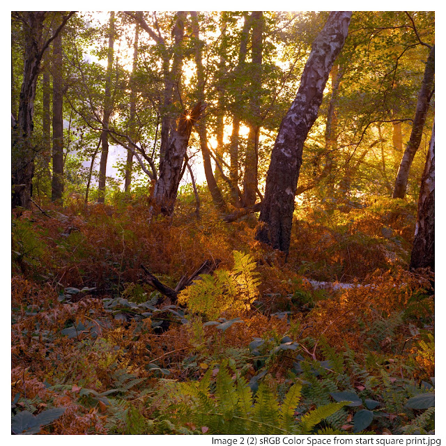 Revisiting Color Negative Scanning and Color Spaces