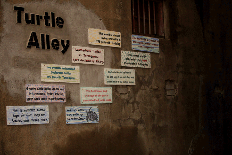 Archive of time: Turtle Alley and Kampung Cina are painted red