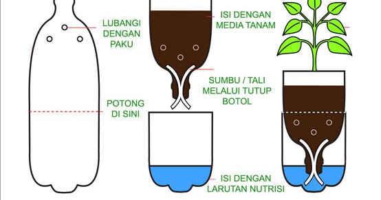 Raih Panen Segar: Panduan Hidroponik Praktis untuk Pemula - Dunia Pertanian