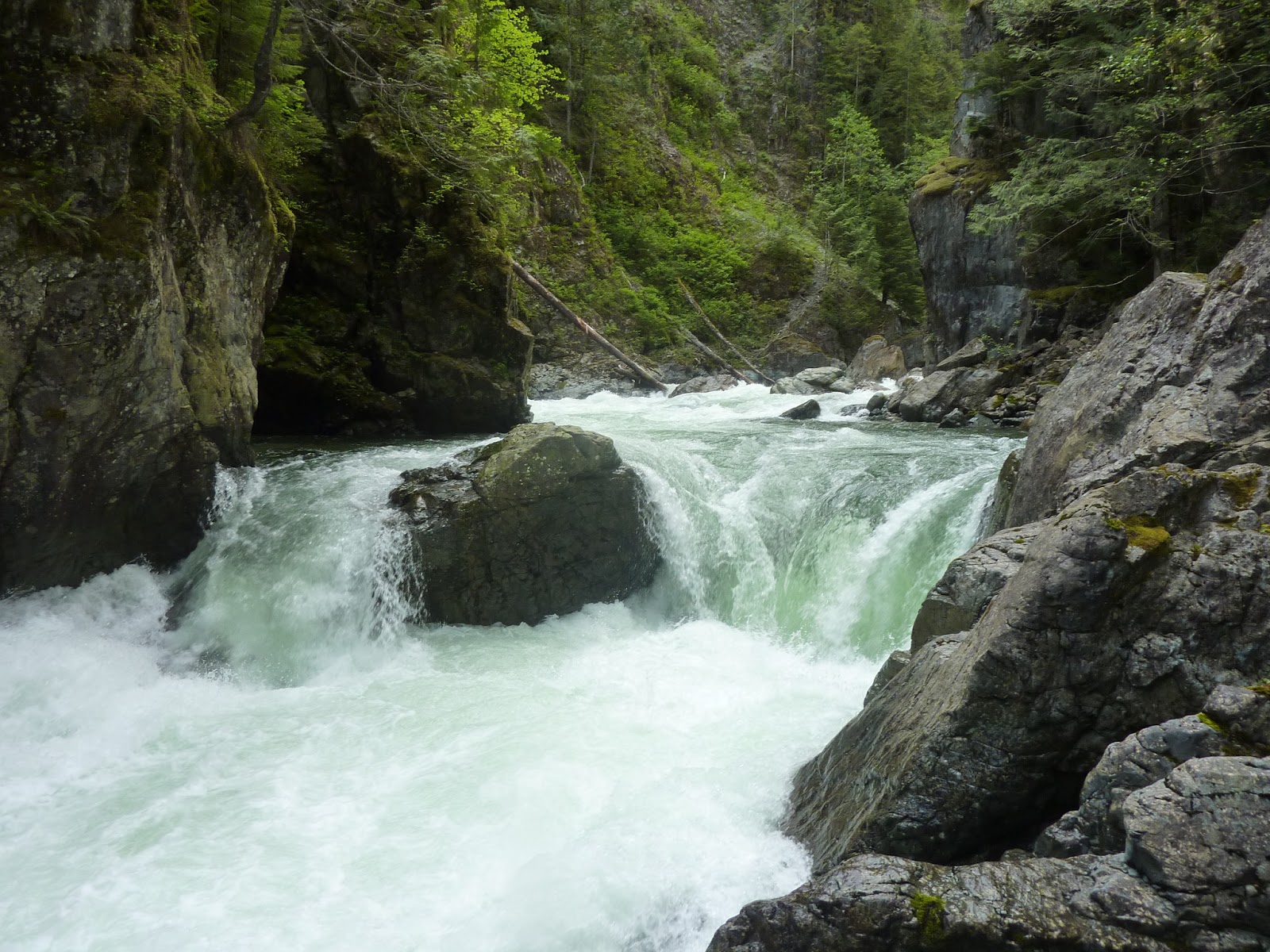 Gradient Stormchasers: Upper Chehalis