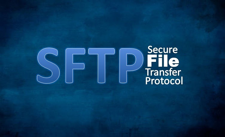 How To Upload File On SFTP Using Asp Net C Dot Net Full Stack How To Upload File On SFTP Using Asp Net C Dot Net Full Stack