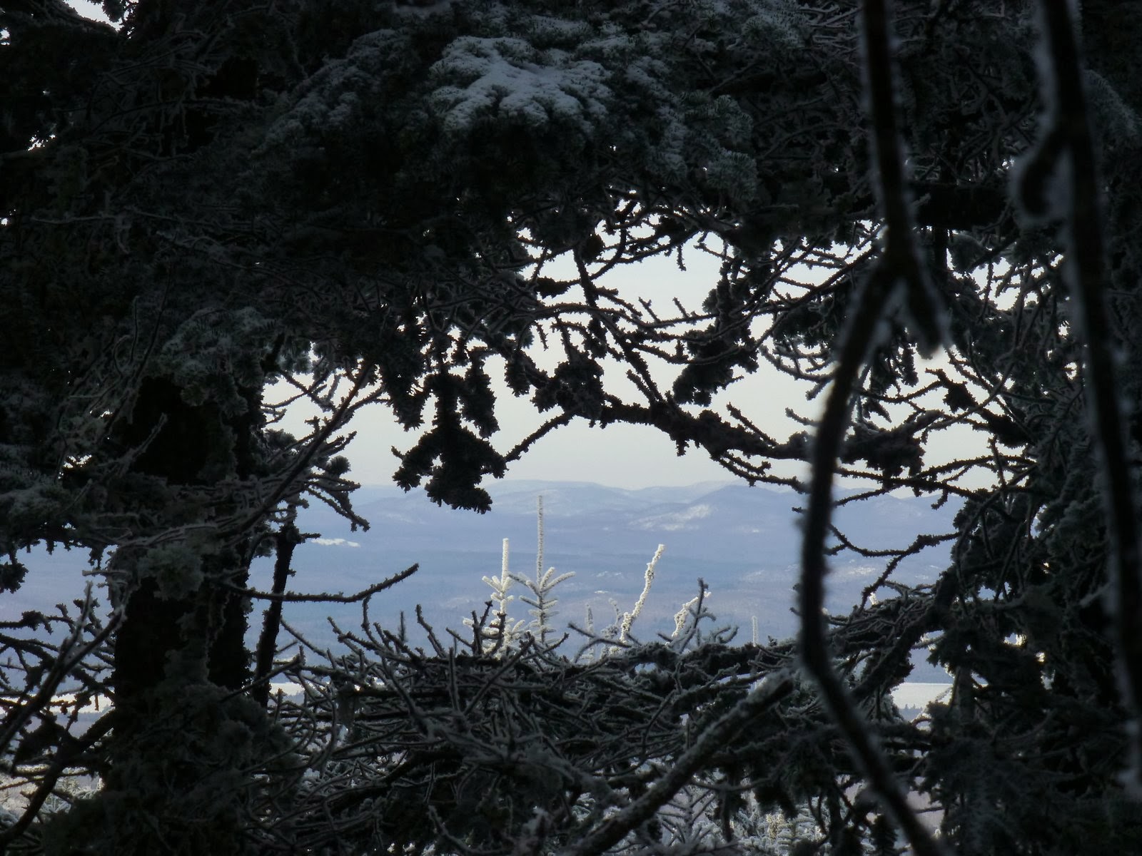 Off on Adventure: Morgan Mountain & Cooper Kiln Pond - Taylor Pond Wild ...