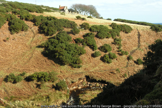 Grey Hen's Well: May 2020