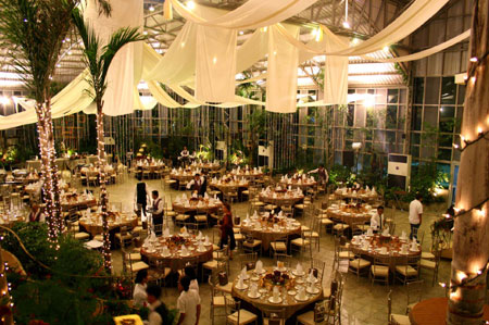 eric and tes wedding: The Reception