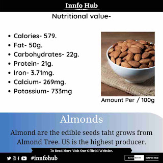 10 Best Healthy Protein Foods.