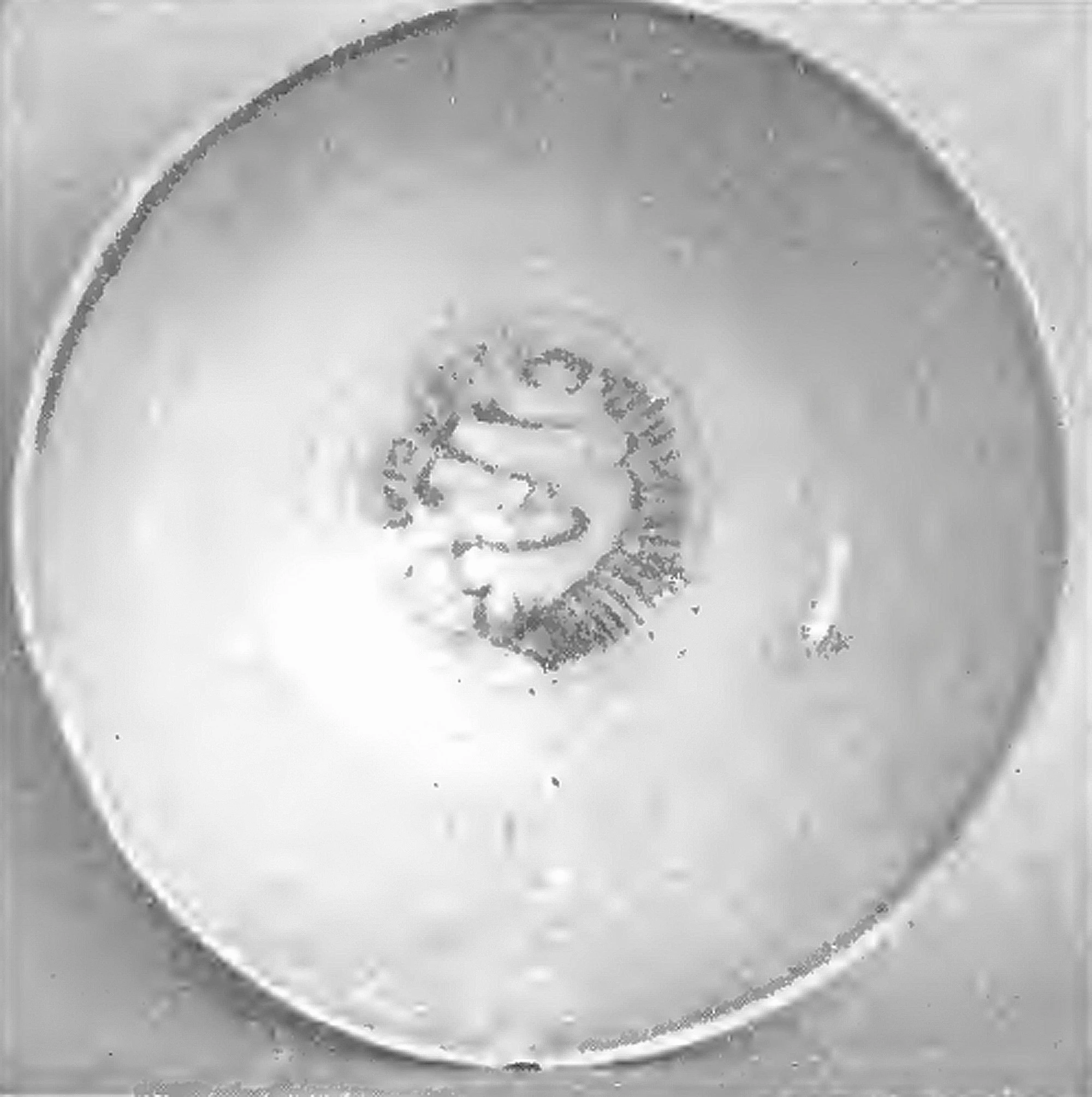 [PHOTOS] Early Archeological Excavations in Calatagan, Batangas ...