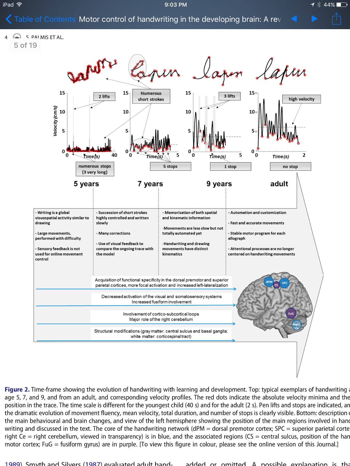 IQ's Corner: Sharing Motor control of handwriting in the developing ...