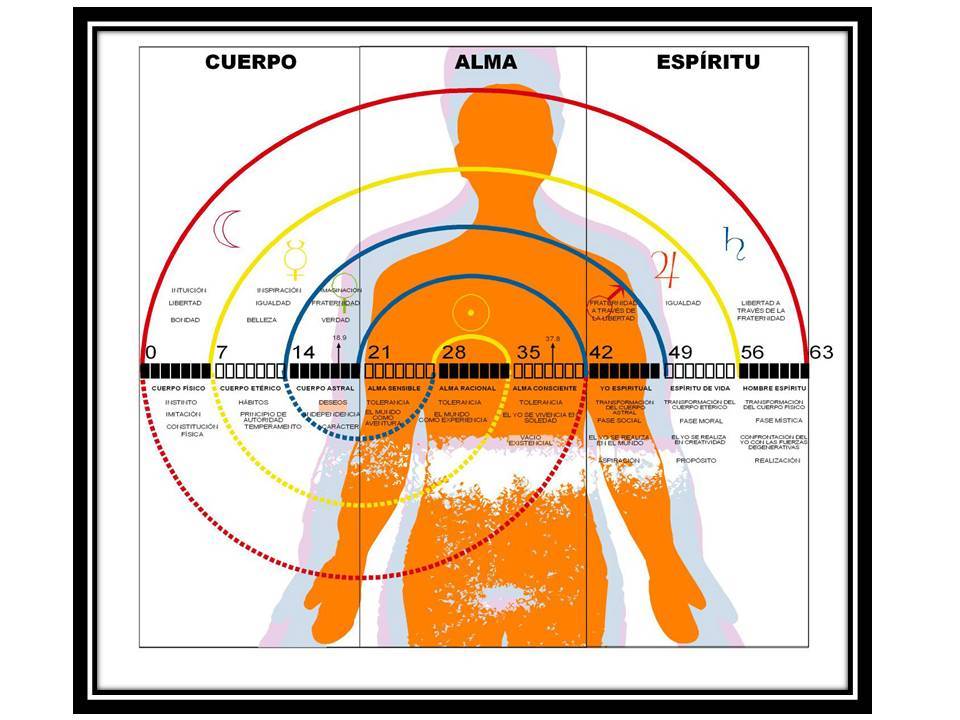 Qué es la Teoría de los Septenios: por qué cambia la vida cada 7 años ...