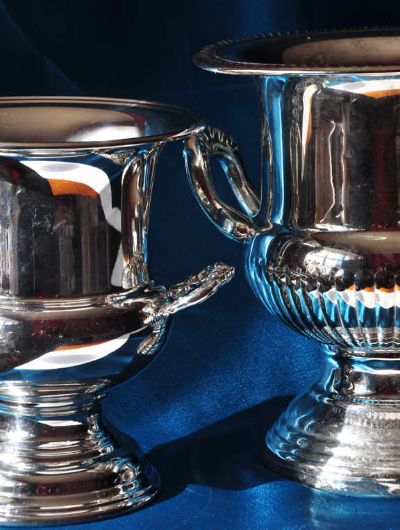 Three Dogs in a Garden: The Silver Lining