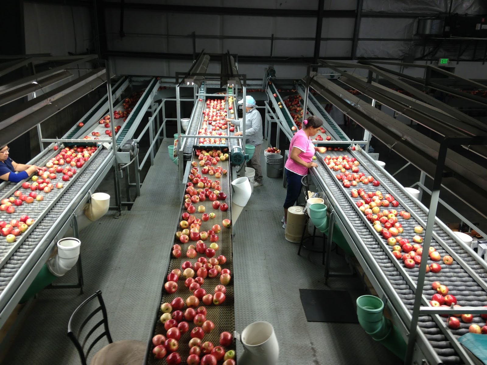 WSDA AgBriefs: Following an apple’s journey into the box