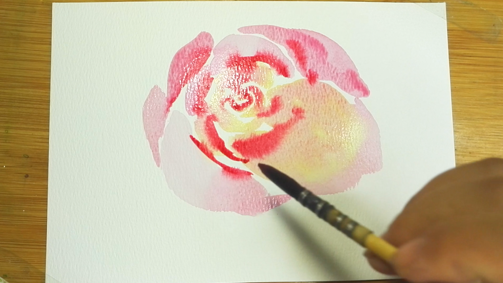 How to draw watercolor roses step by step tutorial easy