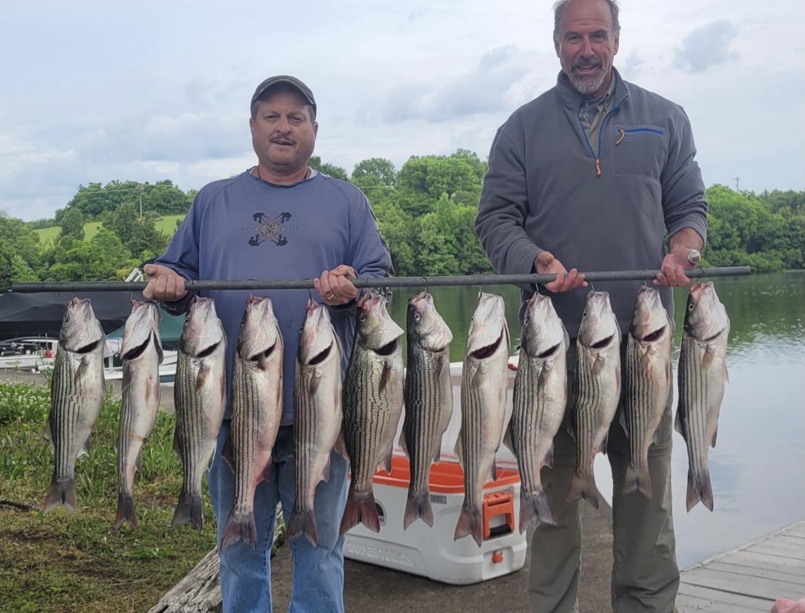 Lake Anna Striper Guide Journal: Lake Anna Fishing is getting Hot!