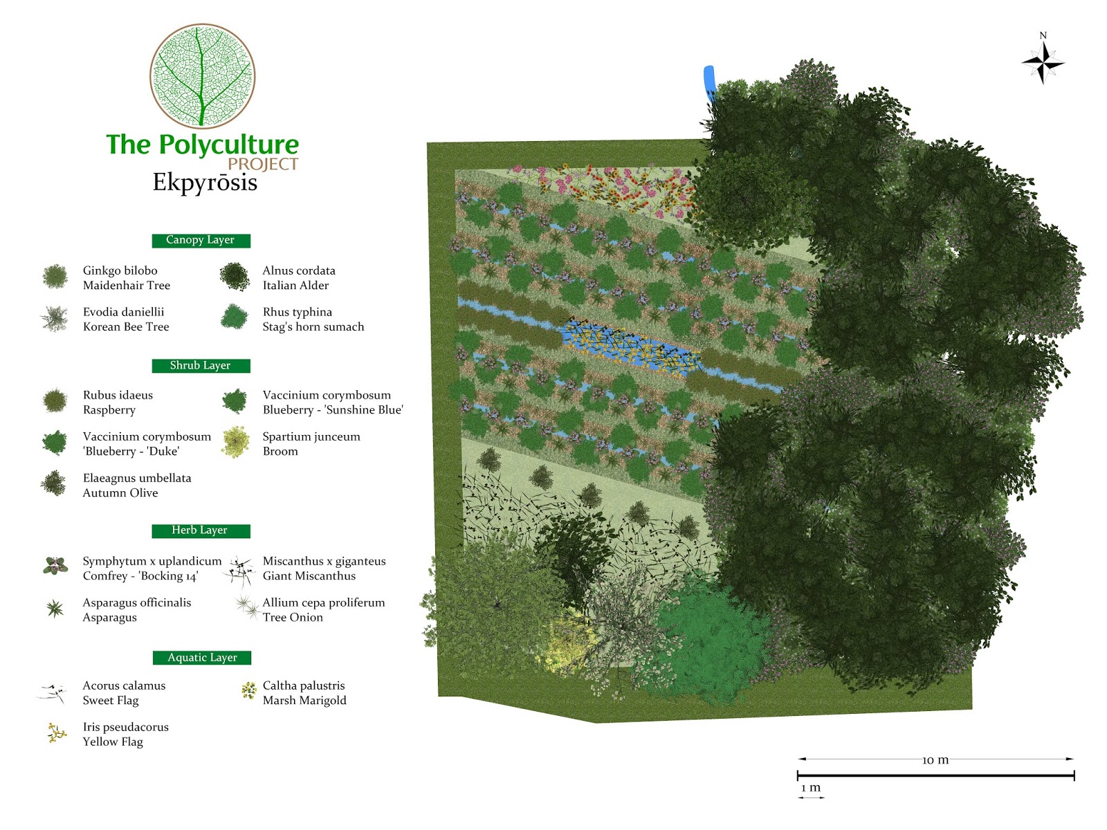 Balkan Ecology Project Balkan Ecology Project