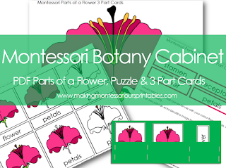 NEW!! Montessori Botany PDF Materials are Available!! - "Making ...
