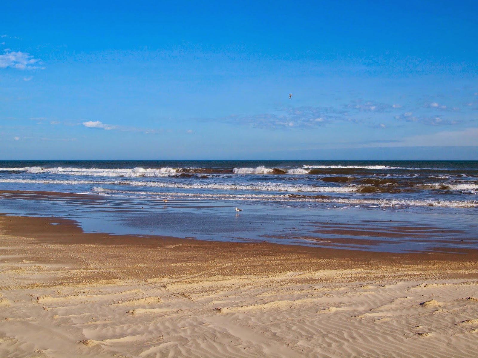 Padre Escapes Blog: Why Vacation to North Padre Island/Corpus Christi?