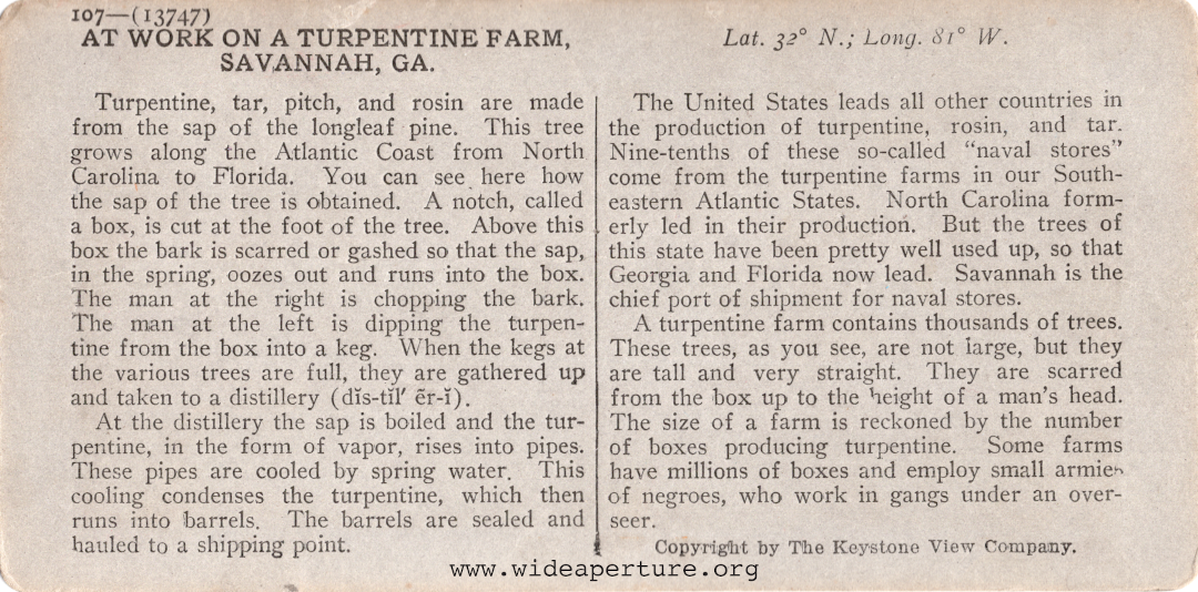 The Stereograph Archive
