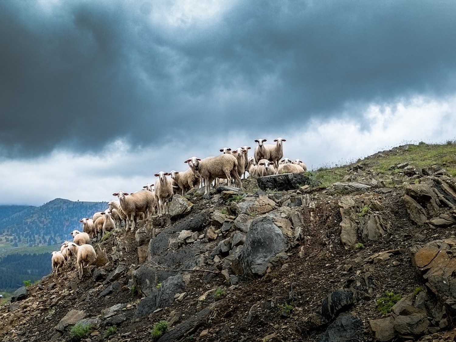 HOW IN THE WORLD!!: Encountering God on the Mountain top and the Valley ...