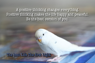 10+ Positive Thinking Status