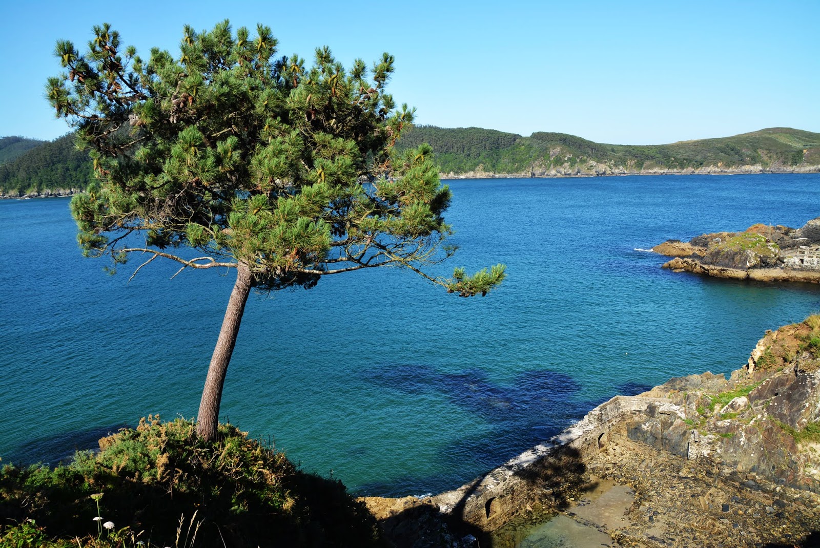 PUEBLOS Y LUGARES: CEDEIRA