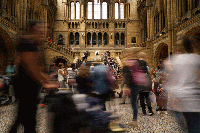 Happening London: The Natural History Museum in GIFs