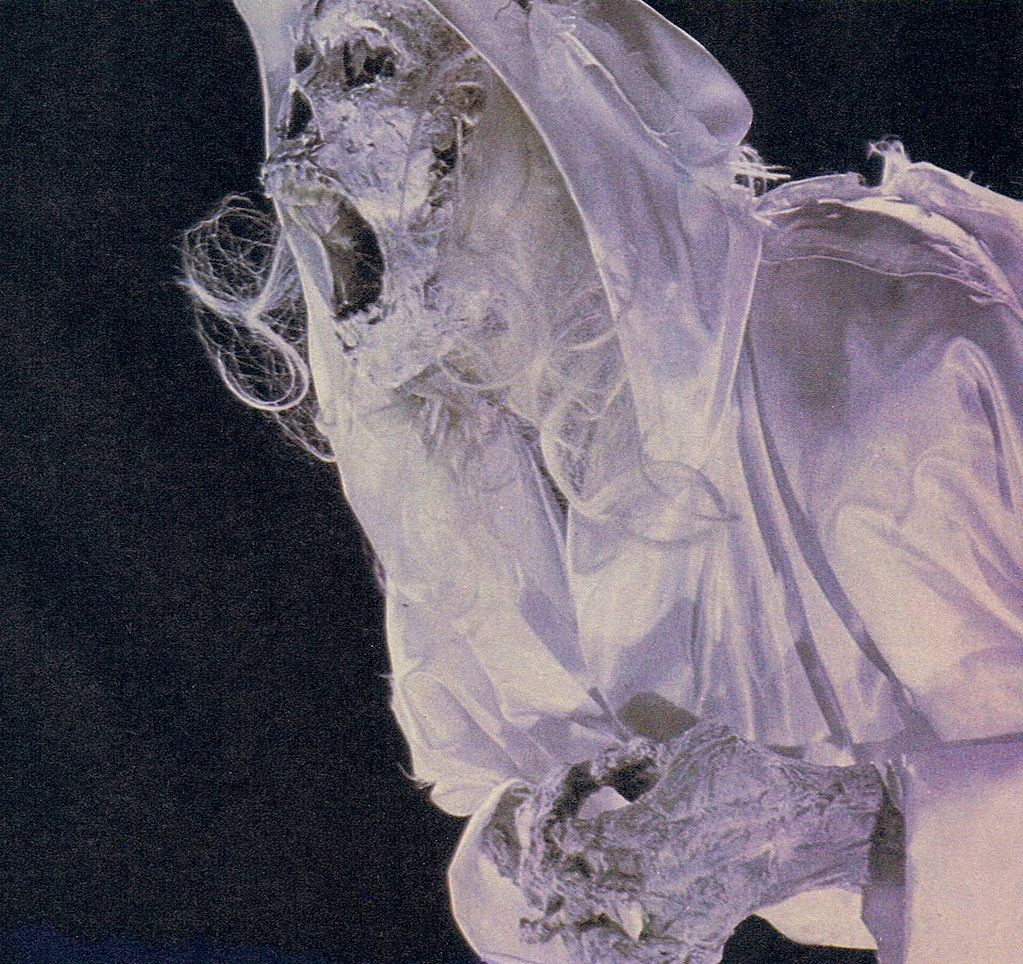 PUMPKINROT.COM: The Blog: Raiders Of The Lost Ark: The Ark Ghost