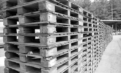 Random Camera Blog: Ultrafine Extreme 100 film - Excellent Value!