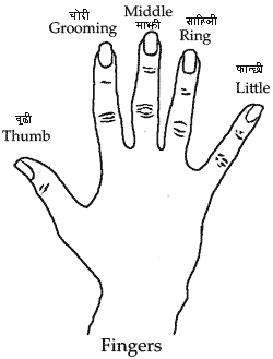 Lord Gautam Bouddha: Nepali virtual keyboards