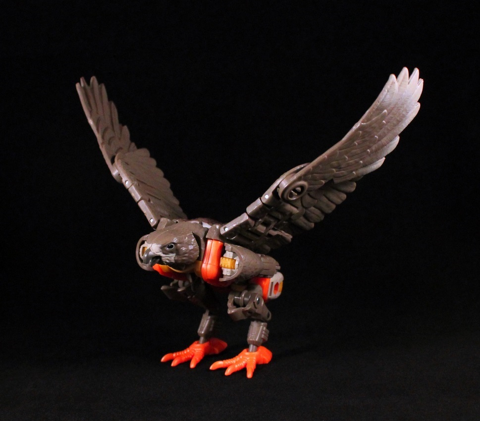 She's Fantastic: Transformers - AIRAZOR!