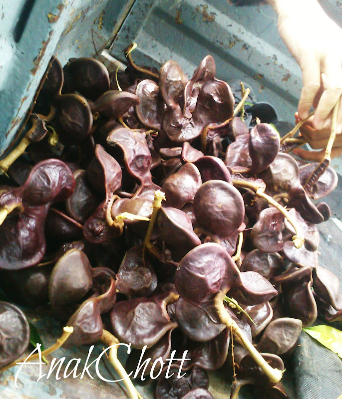 By Dapur Kekla: Jering Goreng Berlada