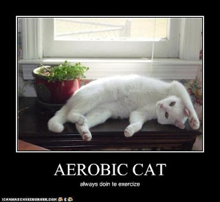 Blog Post : Exercise Can Decrease Your Appetite :: Healersource