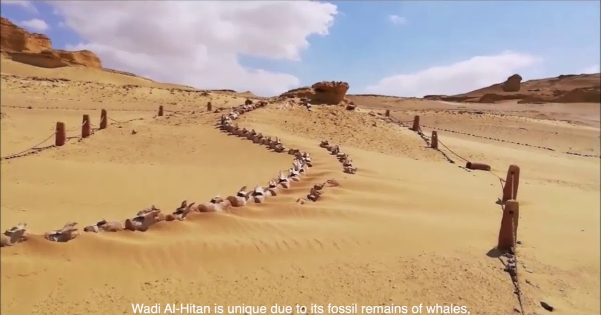 ඊජීප්තුවේ Wadi Al-Hitan ලෝක උරුමය