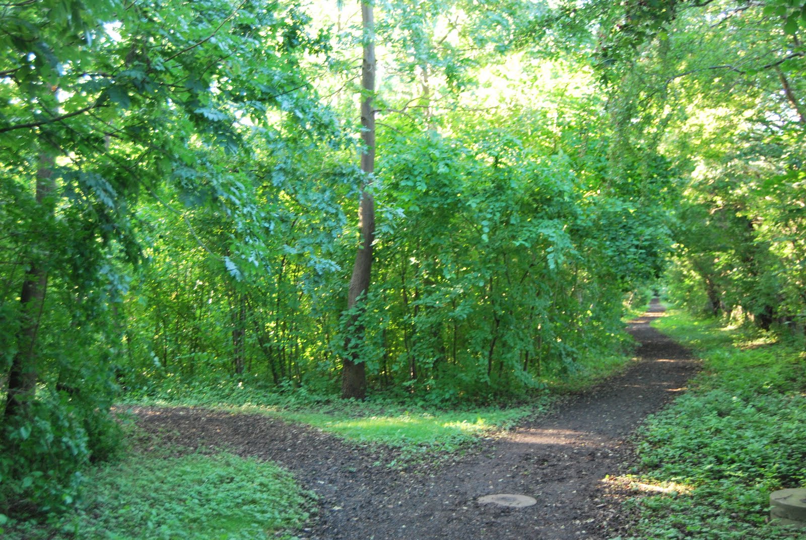 Sitting, Waiting, Wishing!: Alnarp Landscape Laboratory