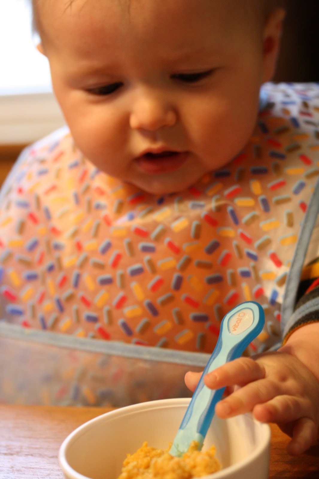 Hot Dinner Happy Home: Sweet Potato & Chicken Baby Food