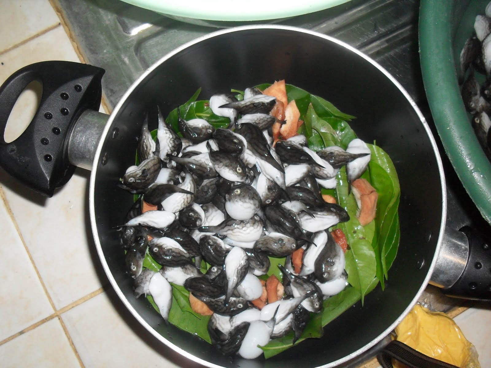 Disenyo and Istayl: Cadiz's 'Buriring', the nation's best