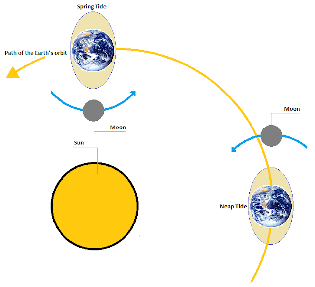 Expedition Earth: How tides are formed
