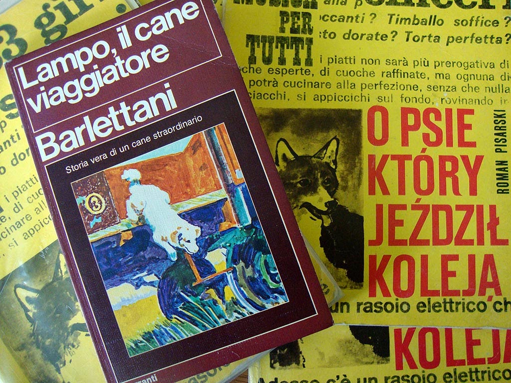 Livorno Daily Photo: Lampo Goes to Gliwice