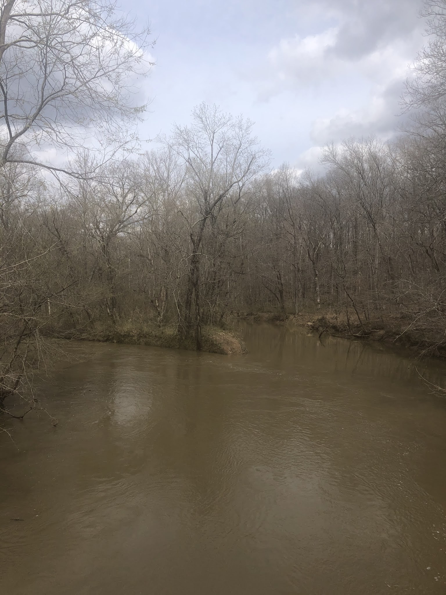 A Little Time and a Keyboard: Mysterious Nature Intrigues at Heron Pond ...