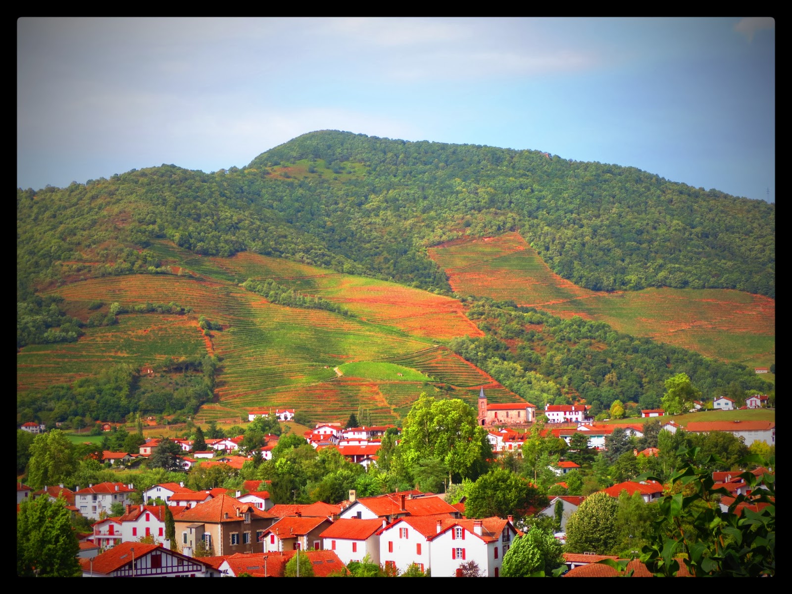 Vegan Camino: Paris to St. Jean Pied de Port, France