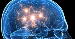 El Cerebro de Niños y Adolescentes: Reproducen Digitalmente por Primera ...