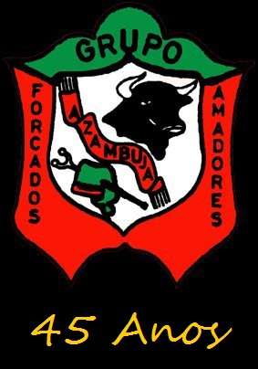 Forcados da Azambuja em FESTA | FORCADO AMADOR