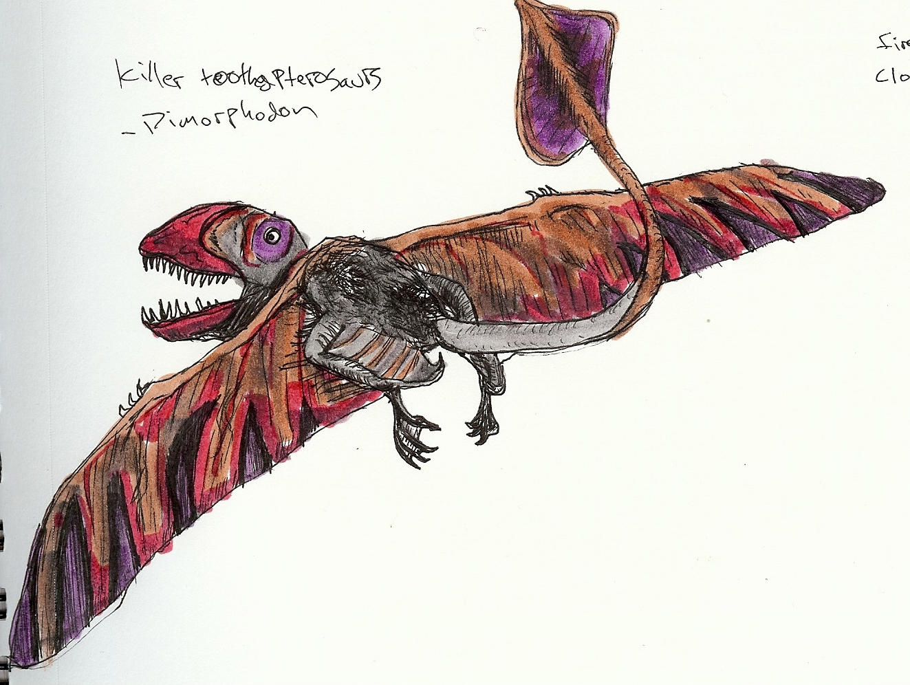 Back Screen Pass - A DM's Secrets: Pterosaurs