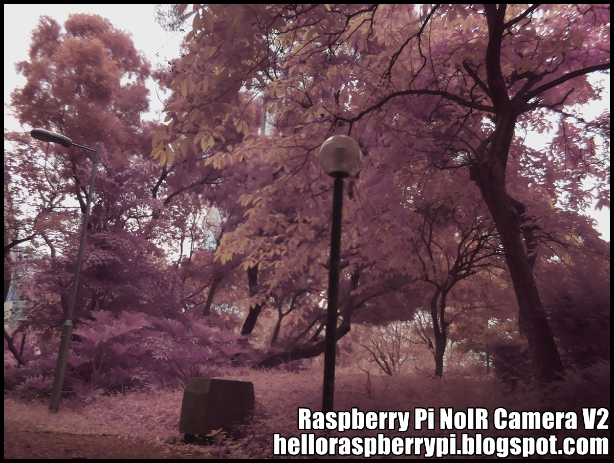 Hello Raspberry Pi Photo And Video Samples By Raspberry Pi Noir Camera V2 With Test Of Uv Ir